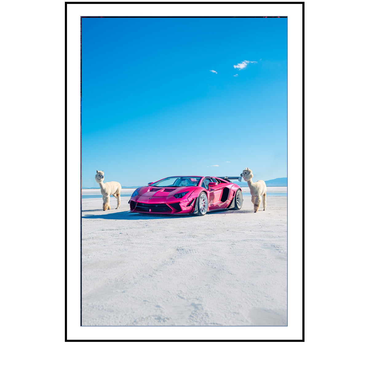 Liberty Walk Alpacas 2 – Penfold Prints Ltd