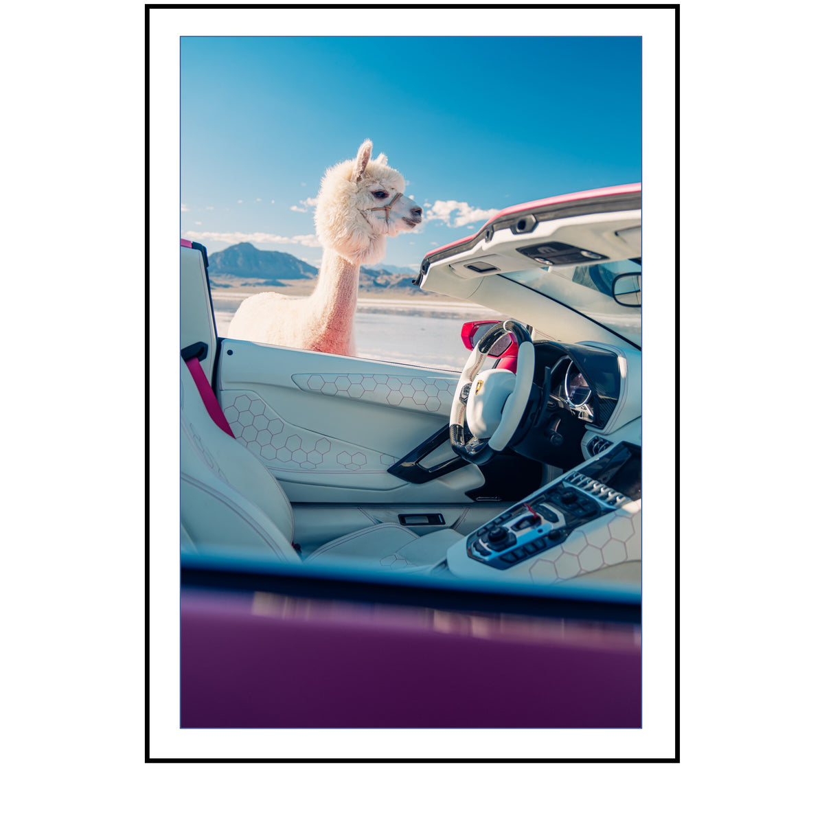 Aventador Alpaca – Penfold Prints Ltd